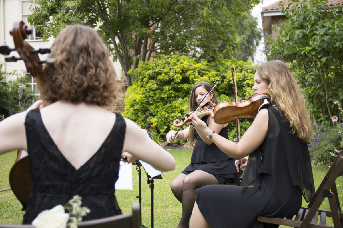 The Saltarello String Trio - The Malt House String Quartet